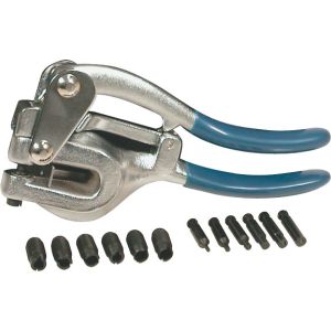 Kidder - Science Kits, School Project Supplies, Clock Parts - Multi ...